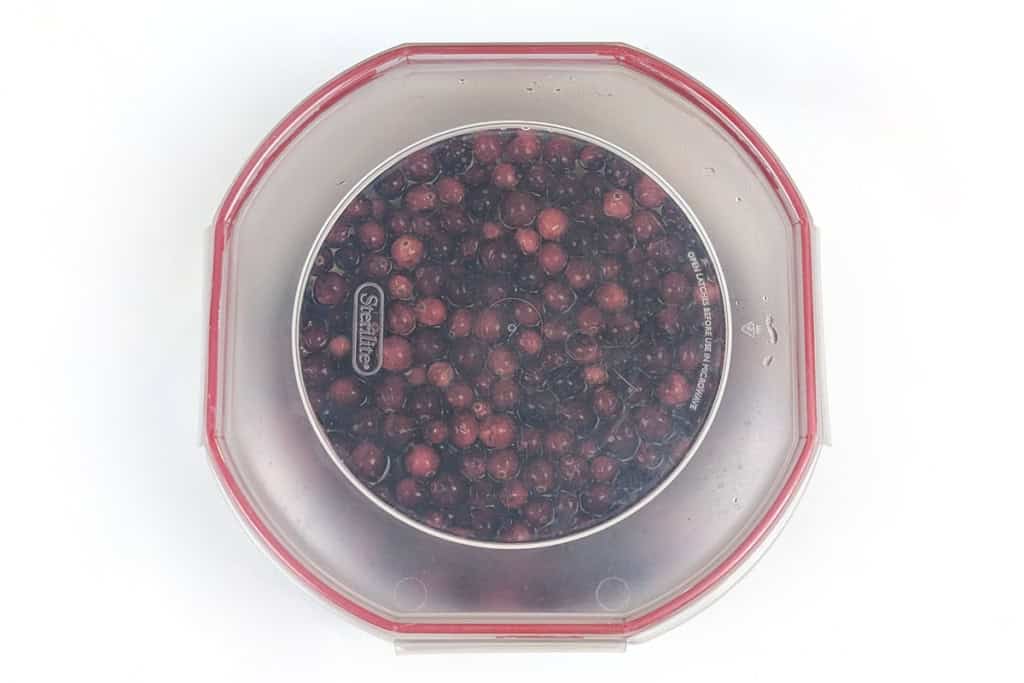 Popping Candied Cranberries (Viral Recipe) - Tamara Ray
