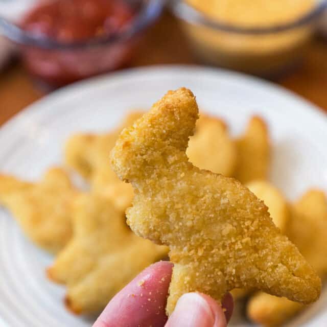 Air Fryer Dino Nuggets (Buddies) - Tamara Ray
