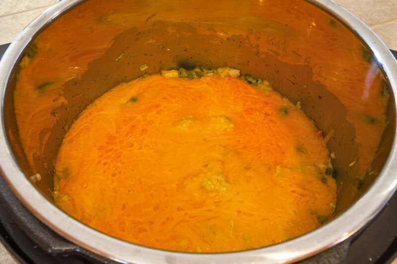 Cheesy Chicken and Rice Casserole (Instant Pot) - Tamara Ray