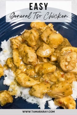 Easy General Tso Chicken (Sun Bird Packet) - Tamara Ray