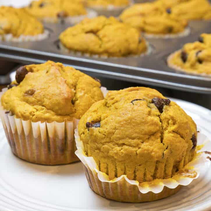 Easy Pumpkin Chocolate Chip Muffins - Tamara Ray